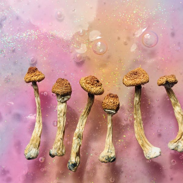 Chemical Collective | Buy 1V-LSD, 1cP-LSD & Other Research Chemicals