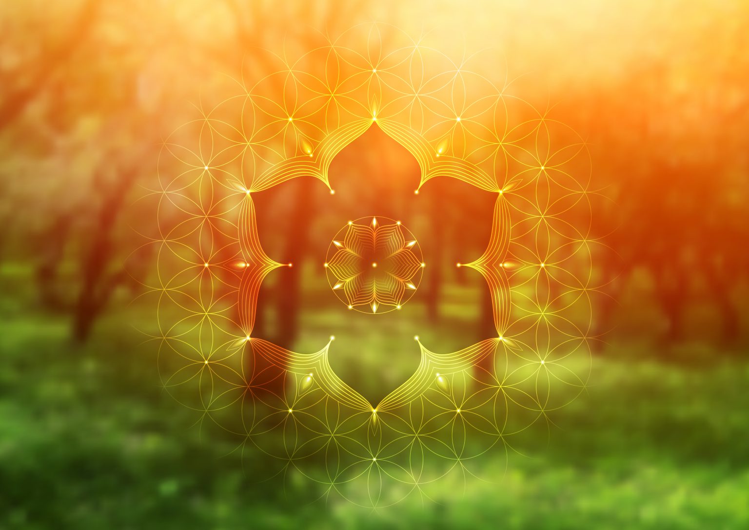 A Global Overview of Psychedelic Legalisation and Decriminalisation ...