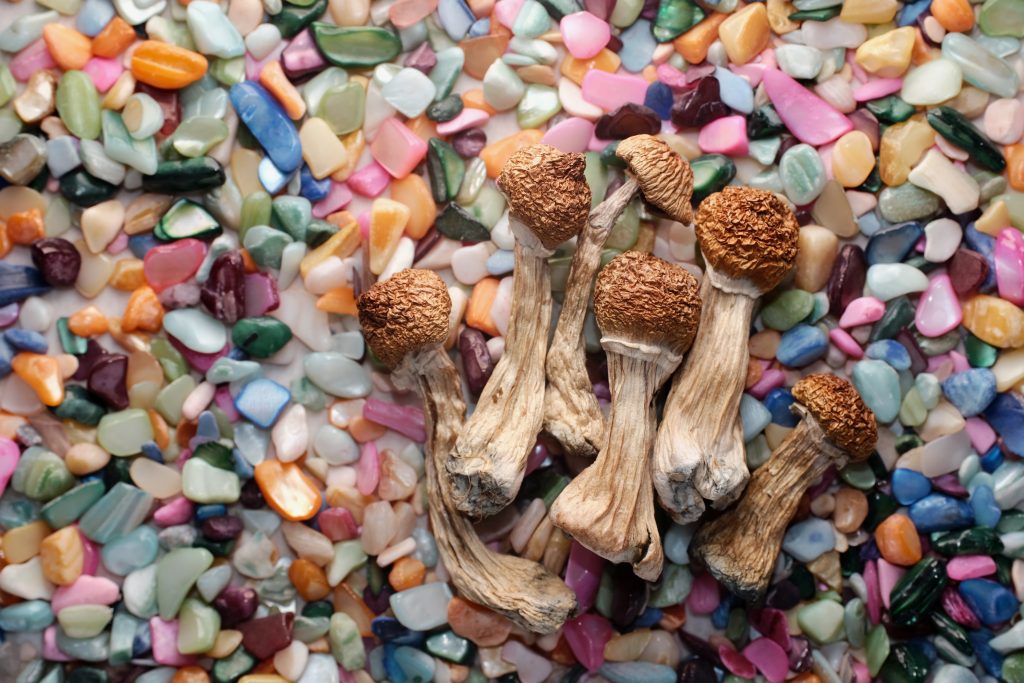 Microdosing Protocols Part One: The Fadiman Protocol | Chemical Collective