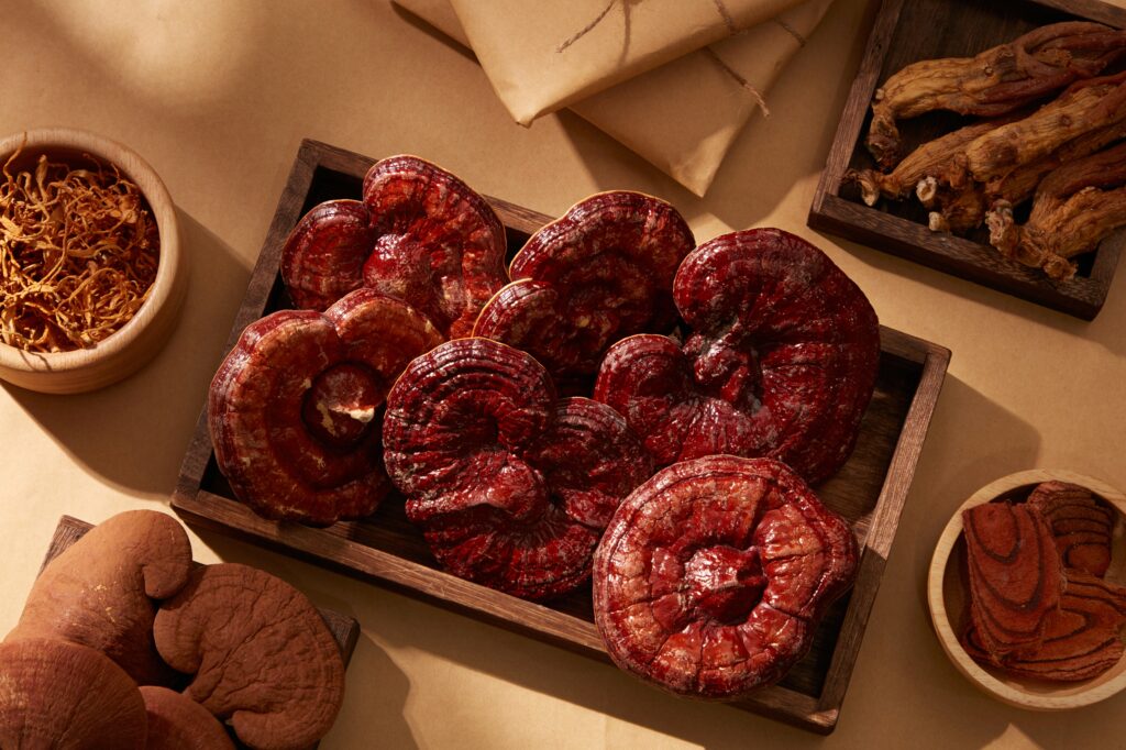 A Holistic and Spiritual Approach to Functional Mushrooms | Chemical ...