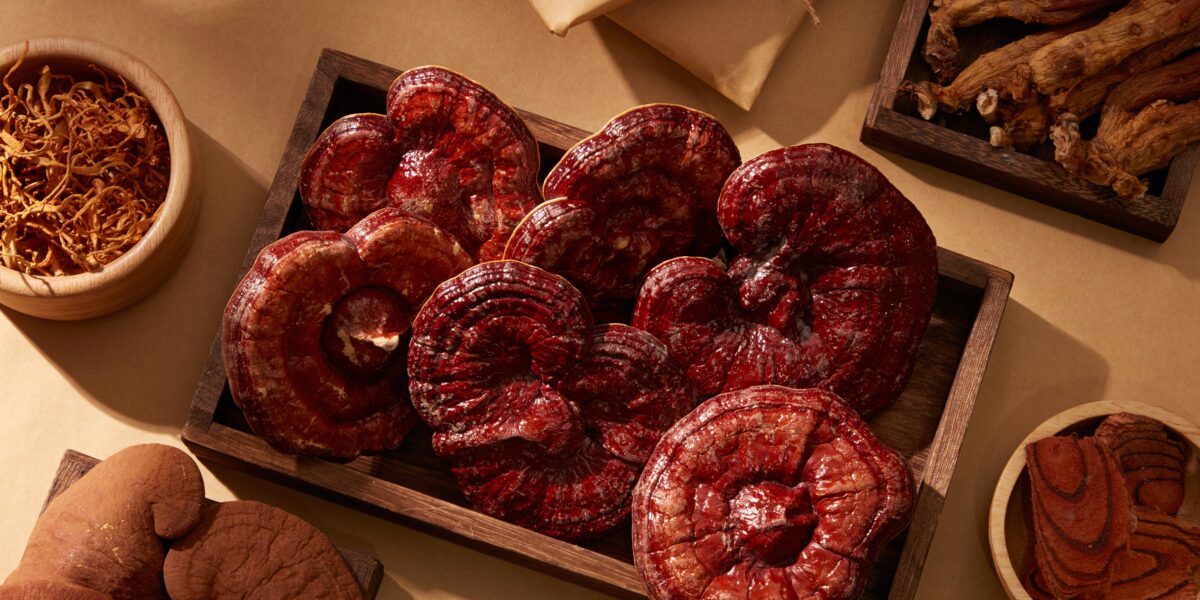 A Holistic and Spiritual Approach to Functional Mushrooms | Chemical ...